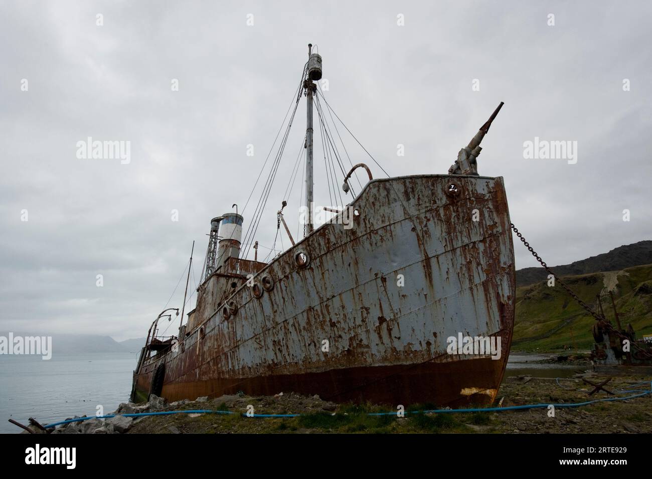 rusted whip sits on the beach near the town of Grytviken in South ...