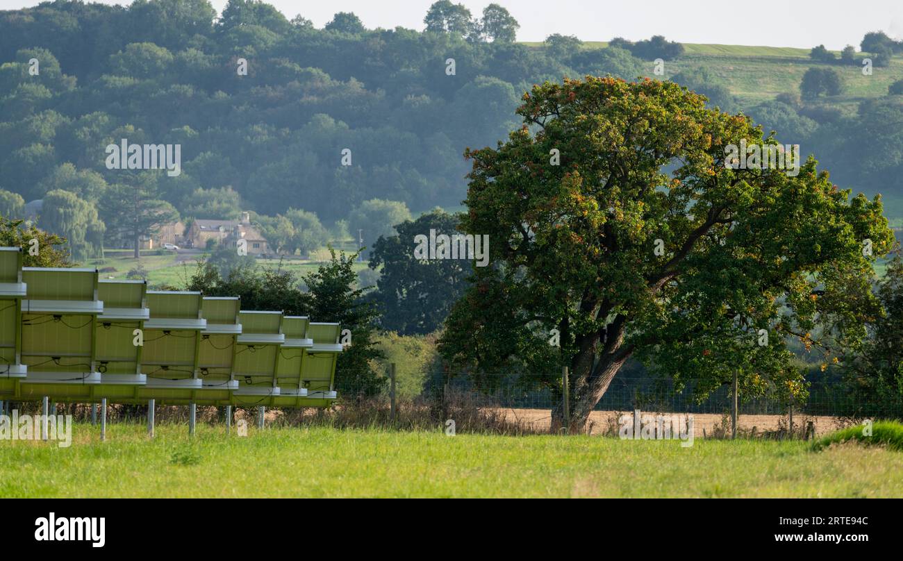 Line of solar energy panels in metal frames curve down a sloping field ...