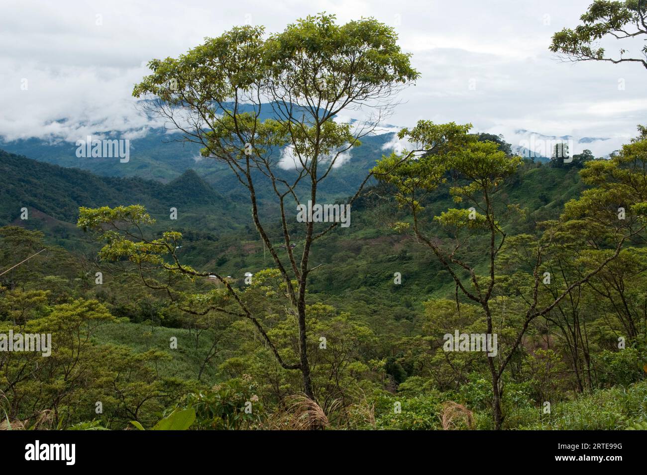 Scenic overlook on the road from Quito to Limon in Ecuador; Limon ...