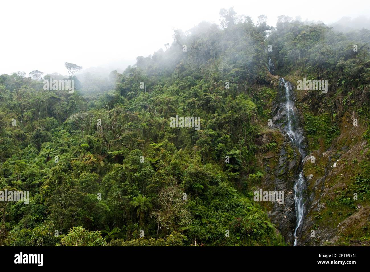 Waterfall down a cliff through lush rainforest vegetation; Limon ...