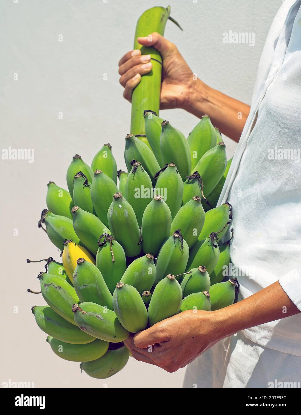 Holding bunch bananas hi-res stock photography and images - Alamy