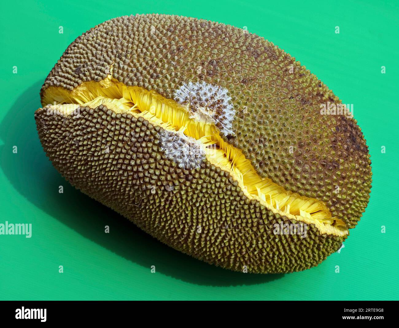 Ripe durian hi-res stock photography and images - Alamy
