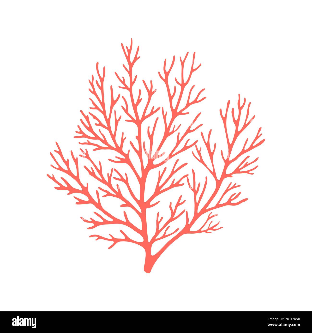 White gorgonian sea fan Stock Vector Images - Alamy