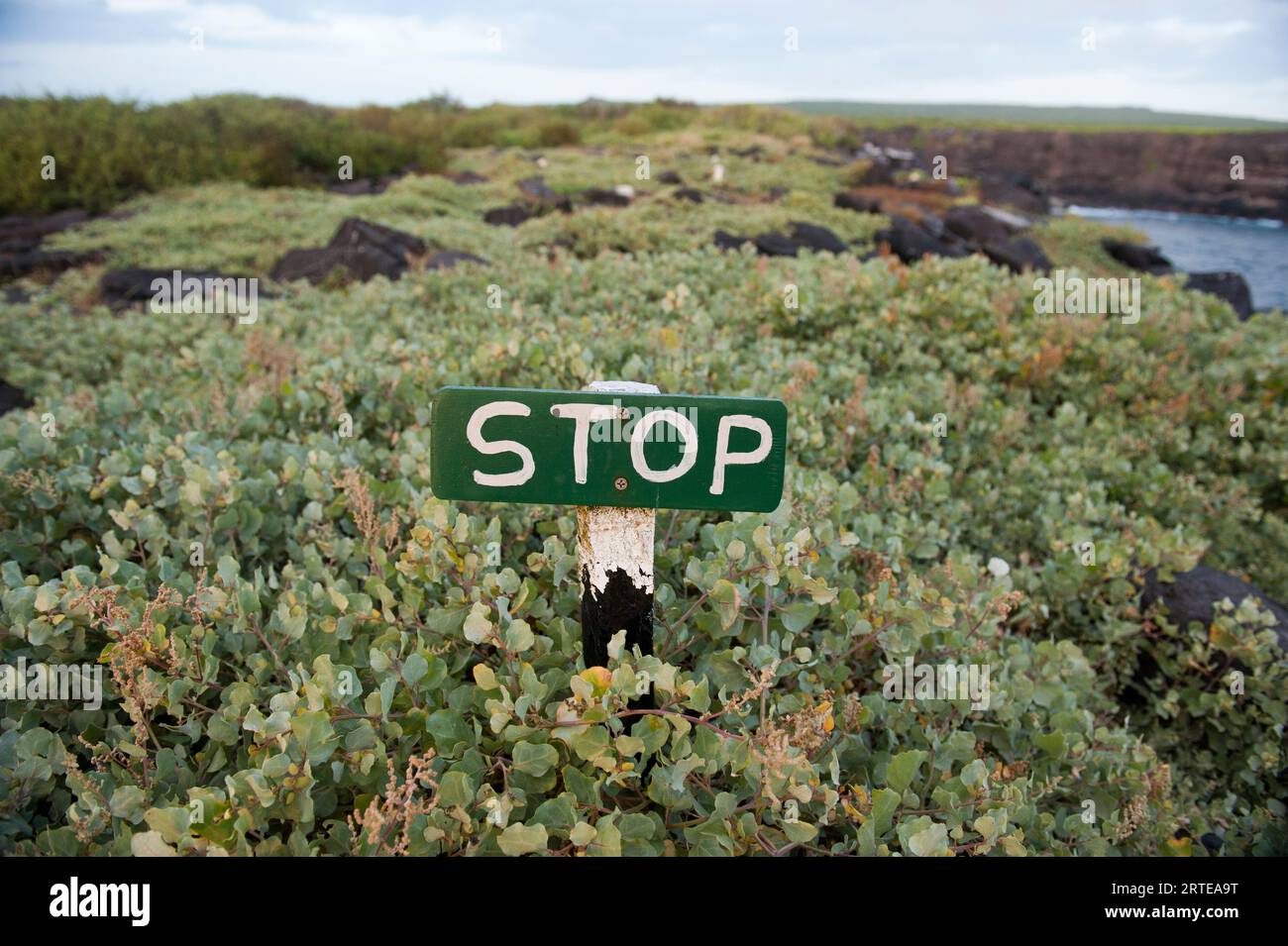 'Stop' sign protects plants and wildlife on Espanola Island in ...
