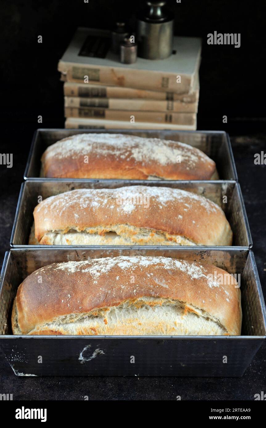 Sandwich loaves hi-res stock photography and images - Alamy
