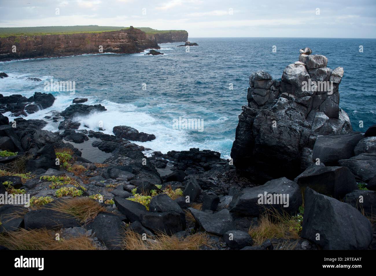 Scenic view of Espanola Island's rocky coastline in Galapagos Islands ...