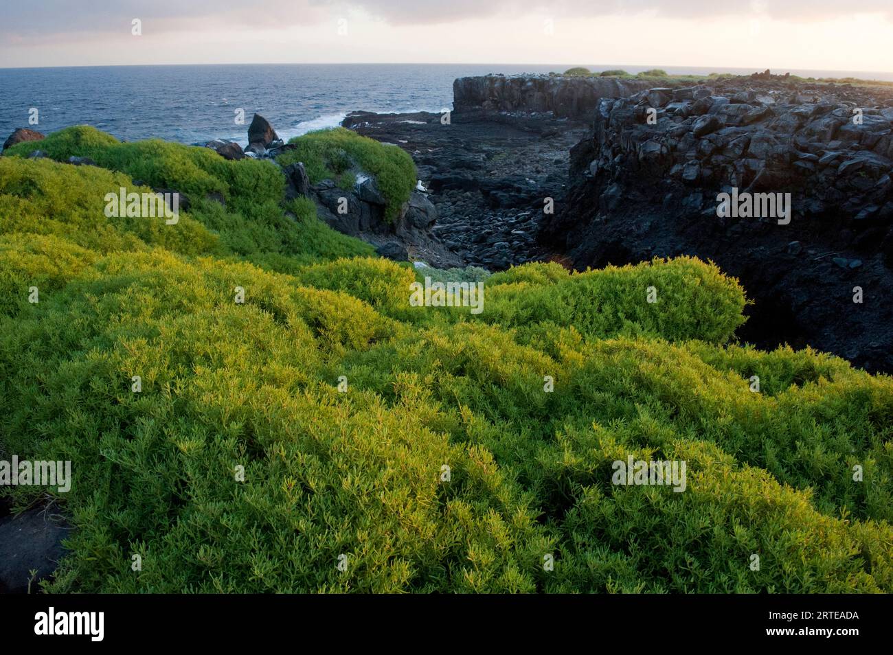 Scenic view of Espanola Island in Galapagos National Park; Espanola ...