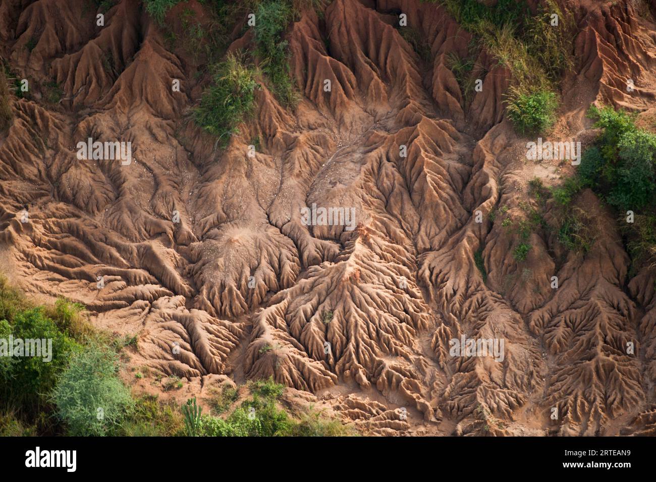 Rift wall along Lake Albert in Uganda; Albertine Rift, Uganda Stock ...