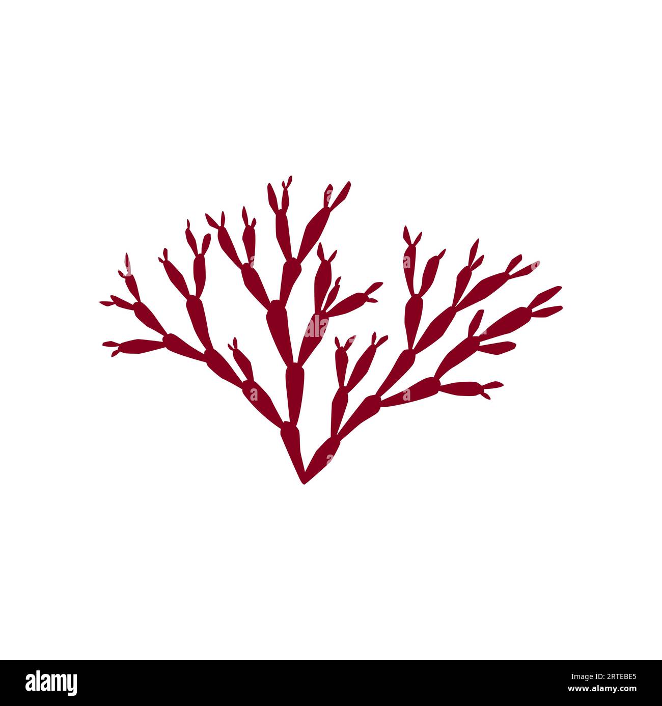 Underwater plant, branch of finger leather coral, Caribbean and Red Sea ... Underwater plant, branch of finger leather coral, Caribbean and Red Sea ...