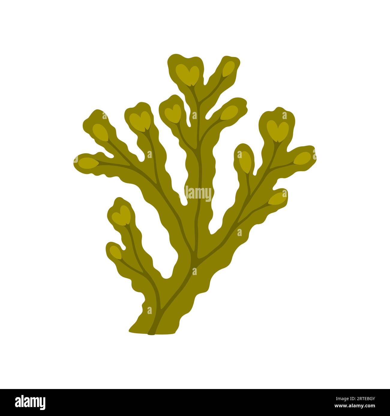 Coral algae caribbean Stock Vector Images - Alamy