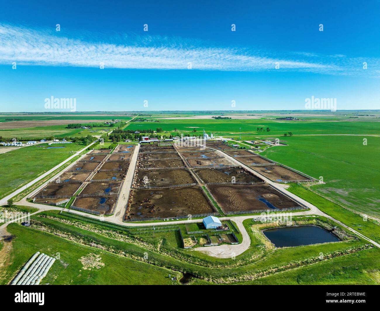 Cattle ranch aerial hi-res stock photography and images - Alamy