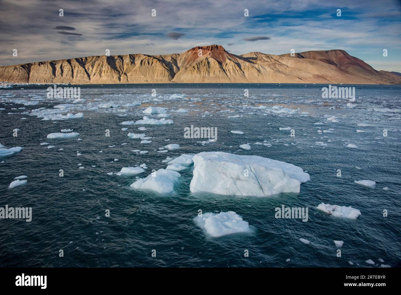 Small icebergs and growlers floating in the icy, grey-blue waters of ...