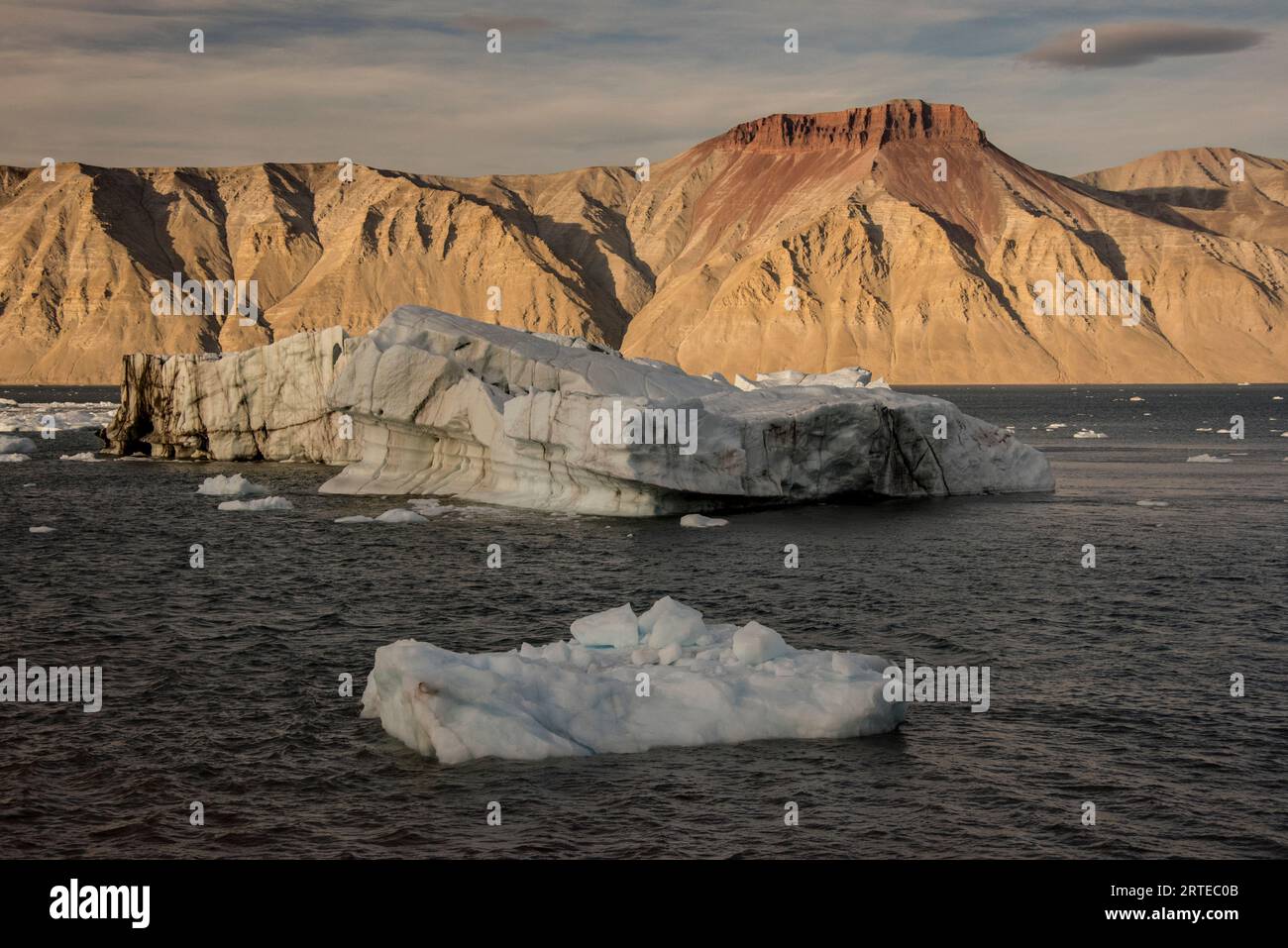Icebergs and growlers floating in the icy, grey waters of Greenland's ...