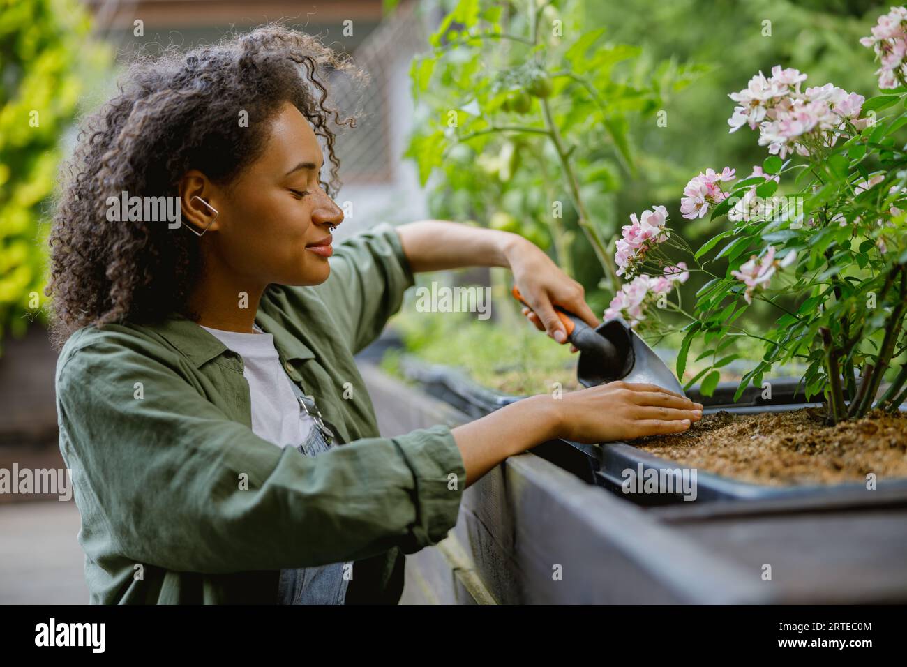 Professional woman garden worker transplants plants and takes care of ...