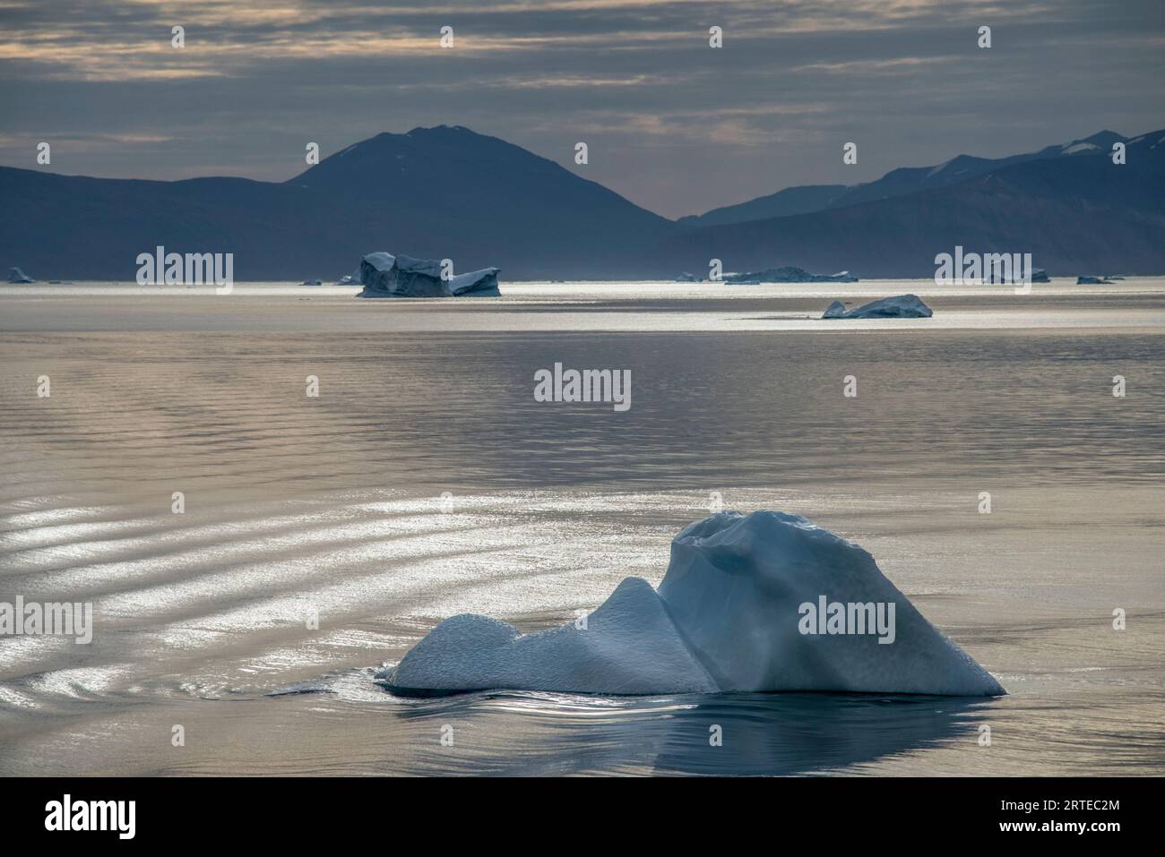 Icebergs floating in the calm waters of the Kong Oscar Fjord with ...