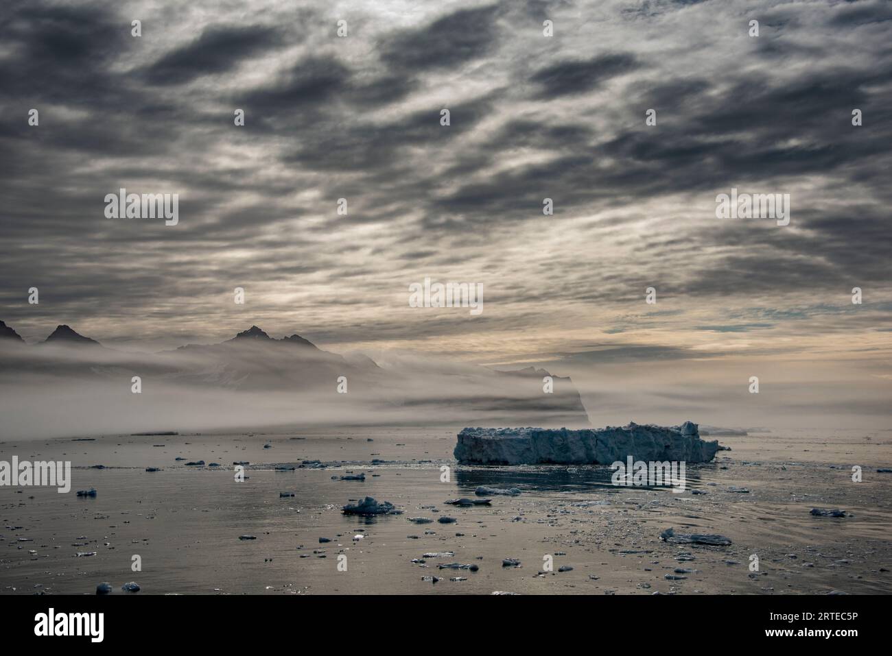 Iceberg floating in the glacial waters in Nansen Fjord with the ...