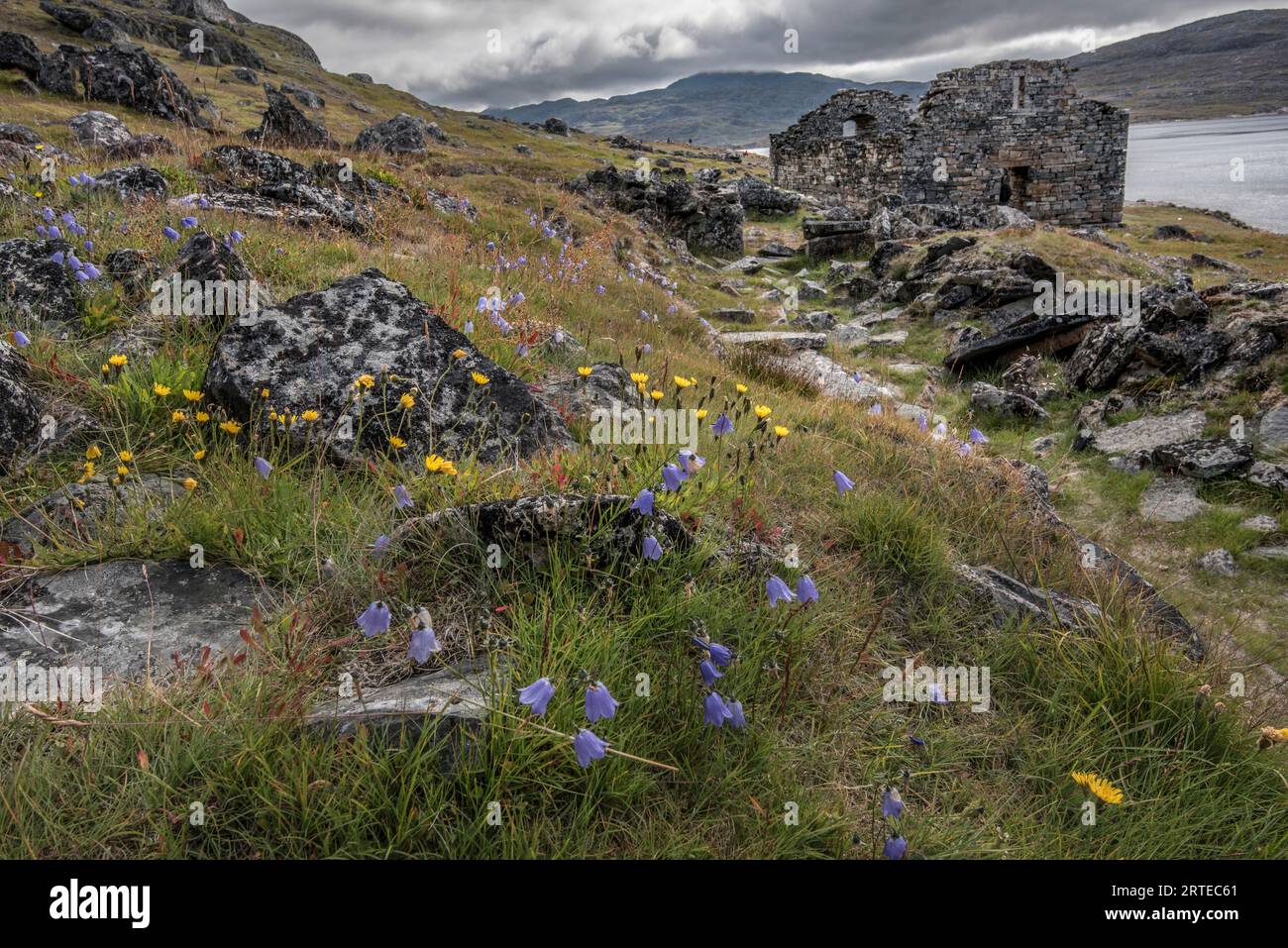 View of wildflowers on the hillside and the archaeological site of ...