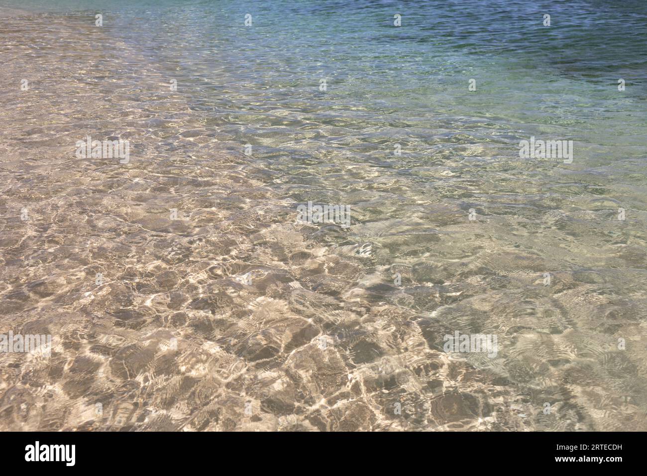 Close-up view of the clear, transparent waters of the Pacific Ocean at ...