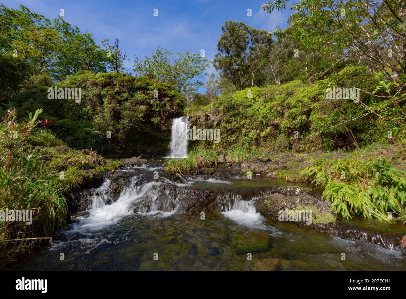 Lush vegetation and cascading waterfall along the Road to Hana, scenic ...