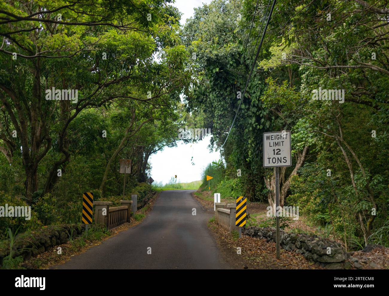 View through narrow roadway crossing a small bridge through the forest ...