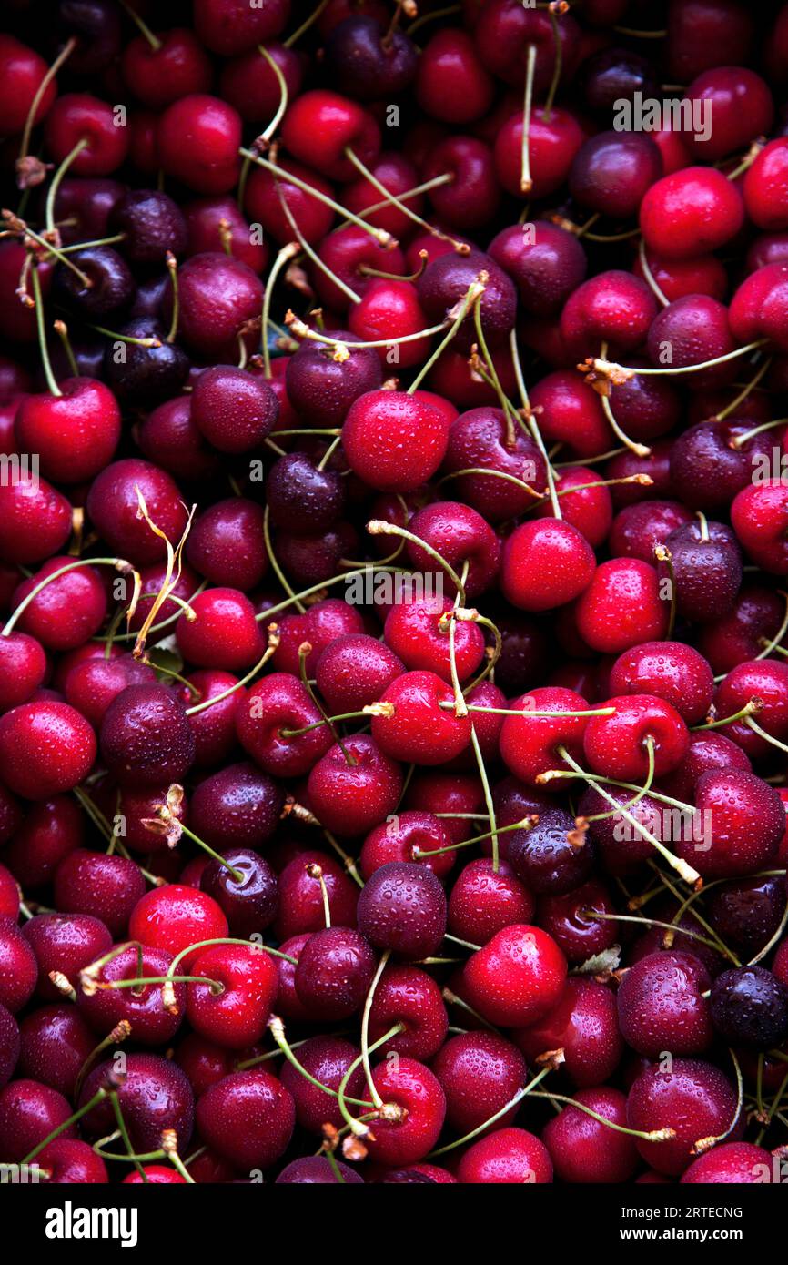 Full picture hi-res stock photography and images - Alamy