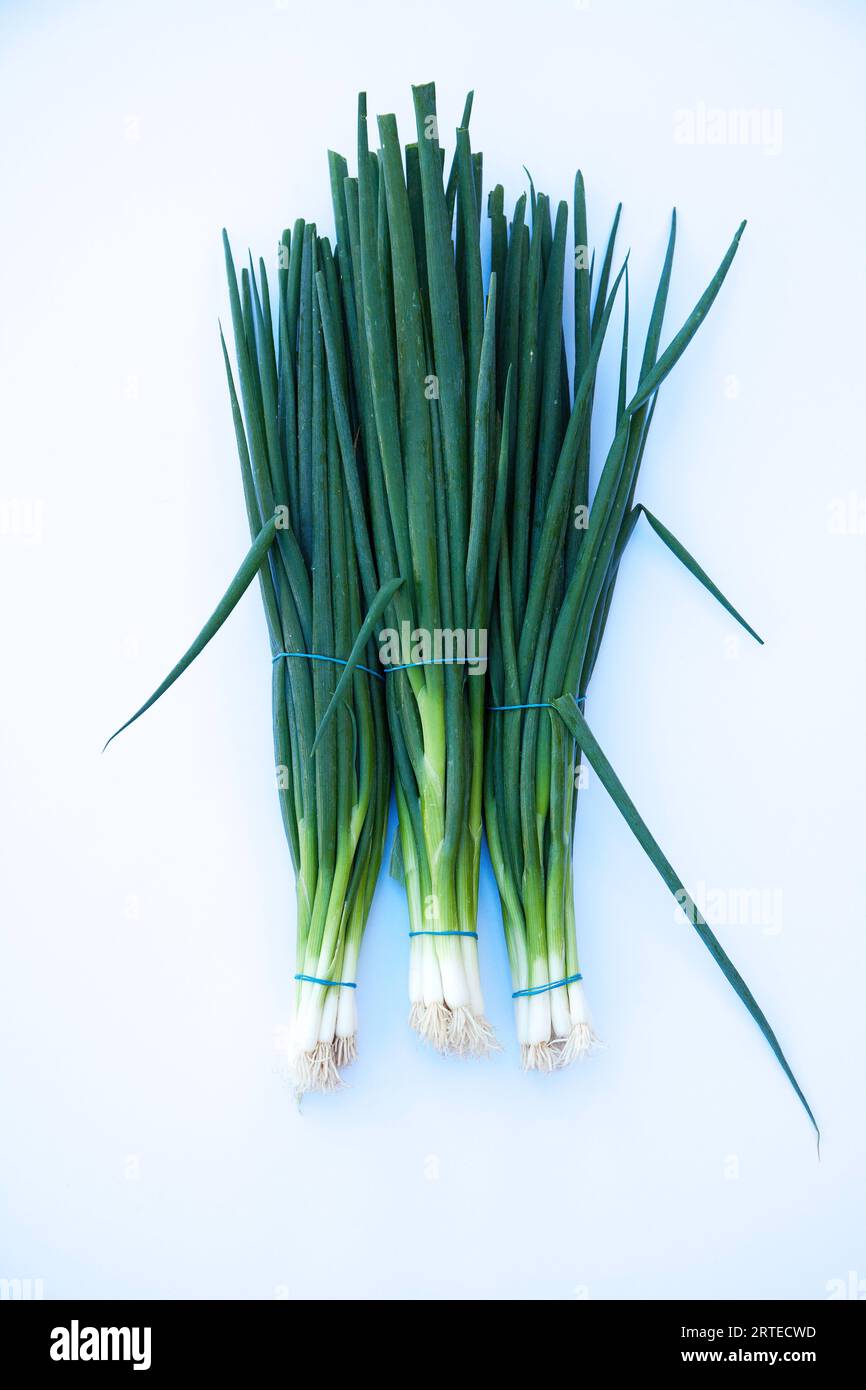 Spring onions tied together Stock Photo - Alamy