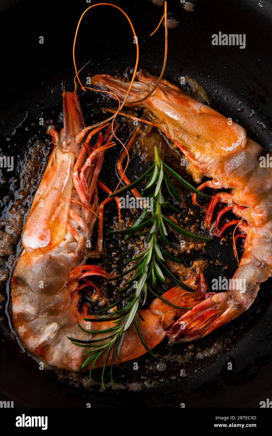 Fried scampi with rosemary Stock Photo - Alamy
