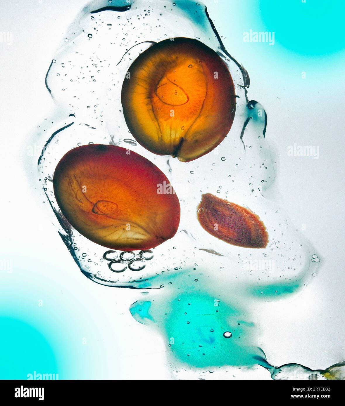 Plum kernels hi-res stock photography and images - Alamy