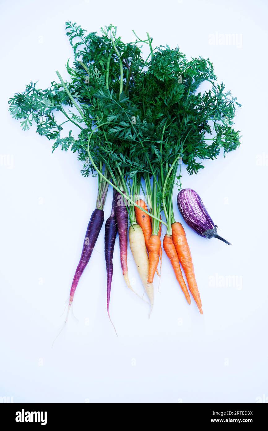 Types of carrots hi-res stock photography and images - Alamy