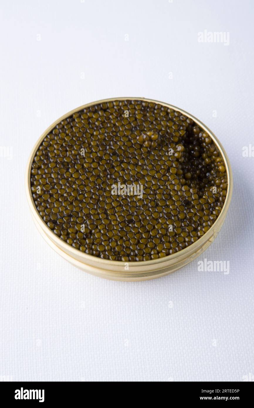 Beluga caviar photo hi-res stock photography and images - Alamy