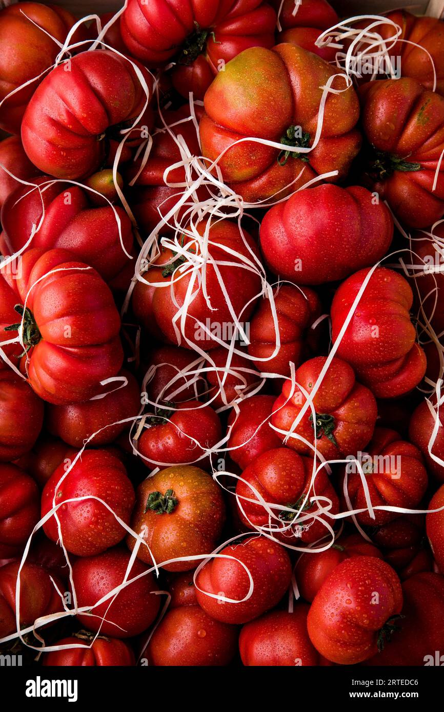 Ox tomatoes (filling the picture Stock Photo - Alamy