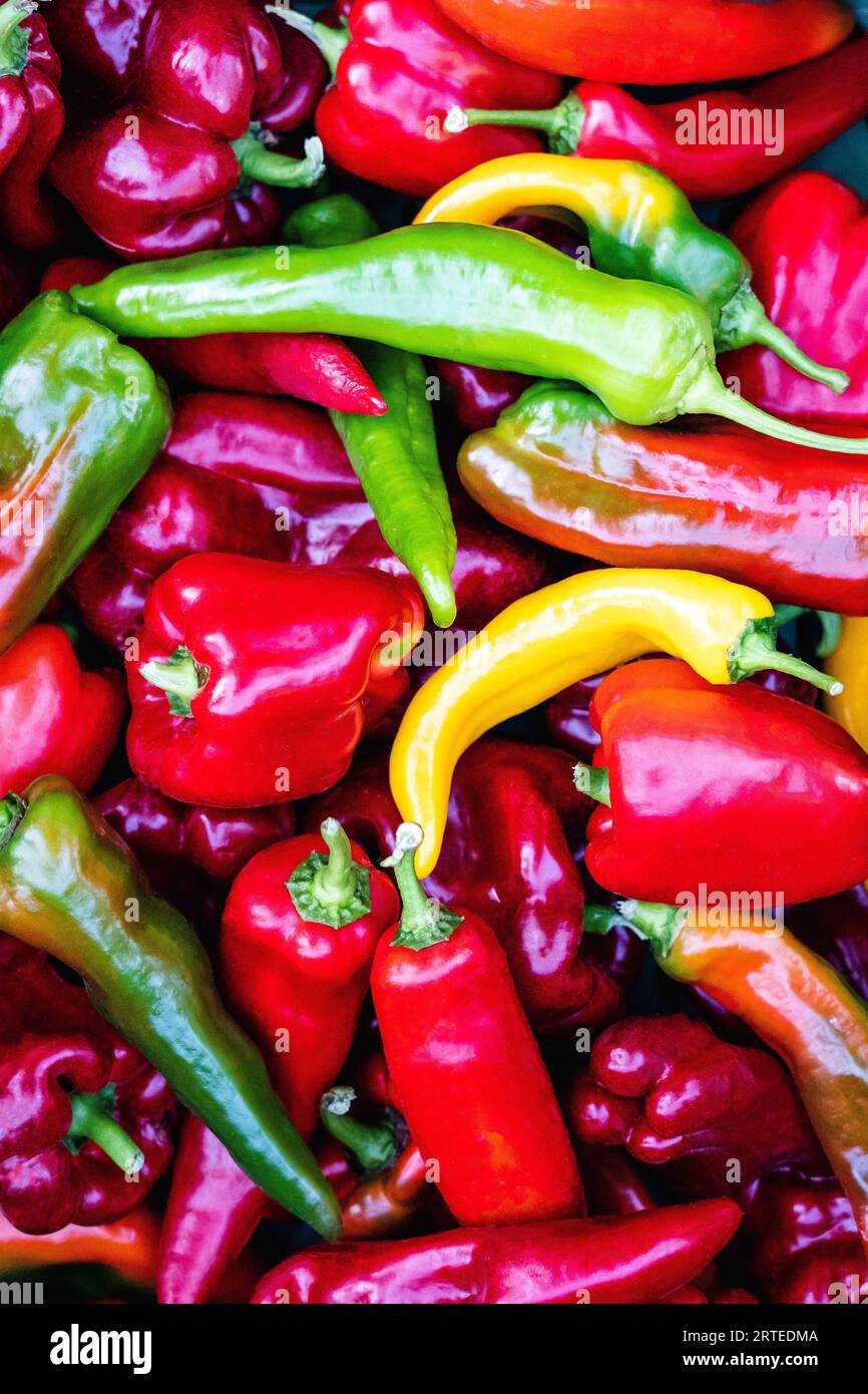Green and red pointed peppers at the market Stock Photo - Alamy