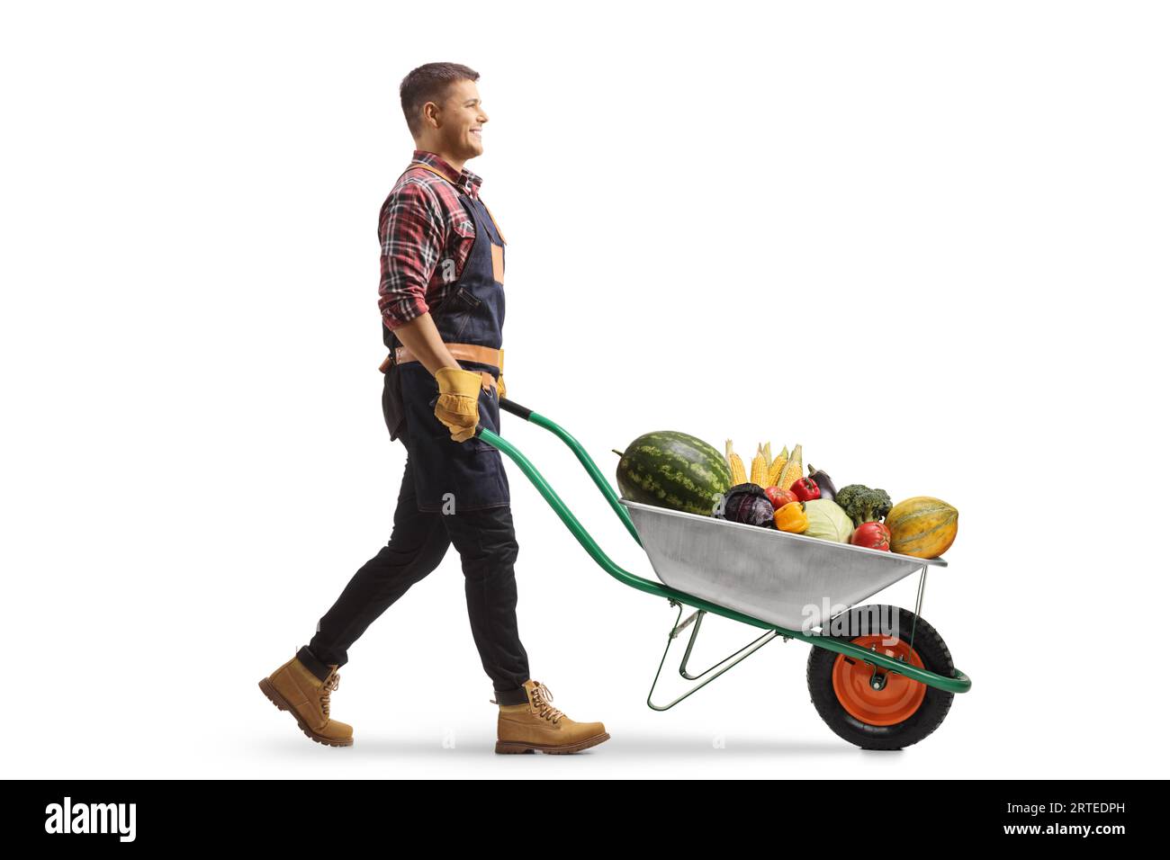 Full length profile shot of a farmer pushing a wheelbarrow with fruits ...