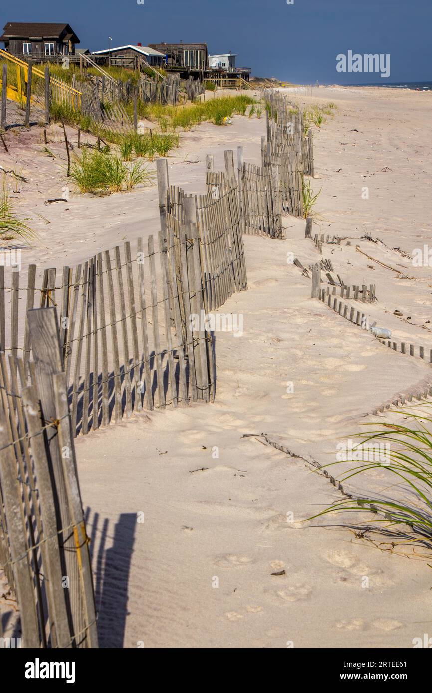 A wooden slated sand fence is partly buried in an ocean beach dune ...