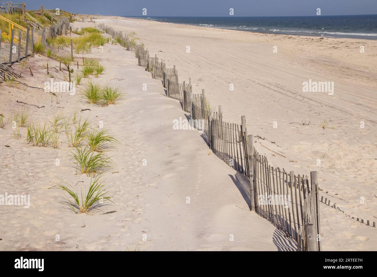 A wooden slated sand fence is partly buried in an ocean beach dune ...