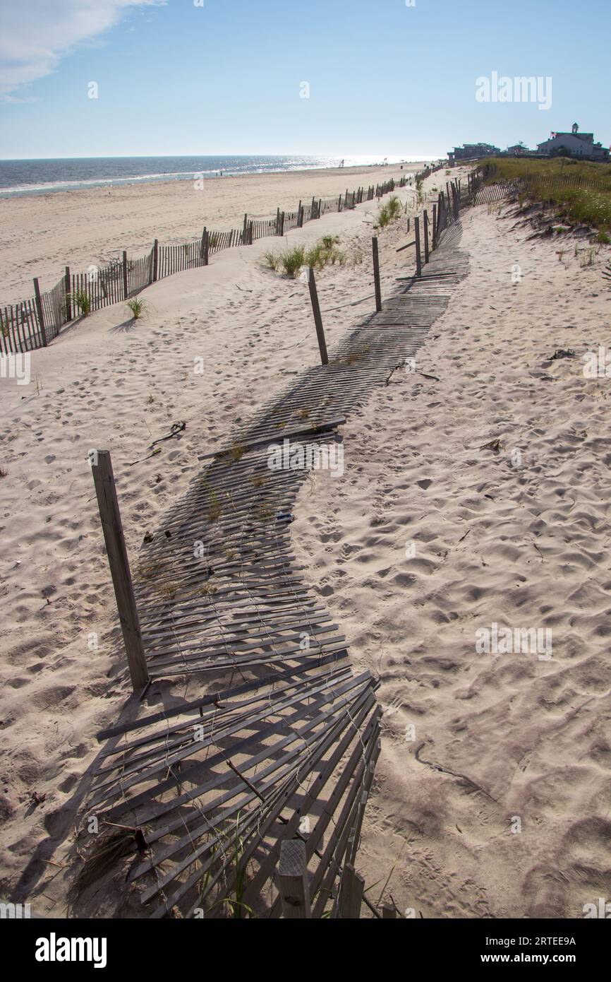 A wooden slated sand fence is partly buried in an ocean beach dune ...