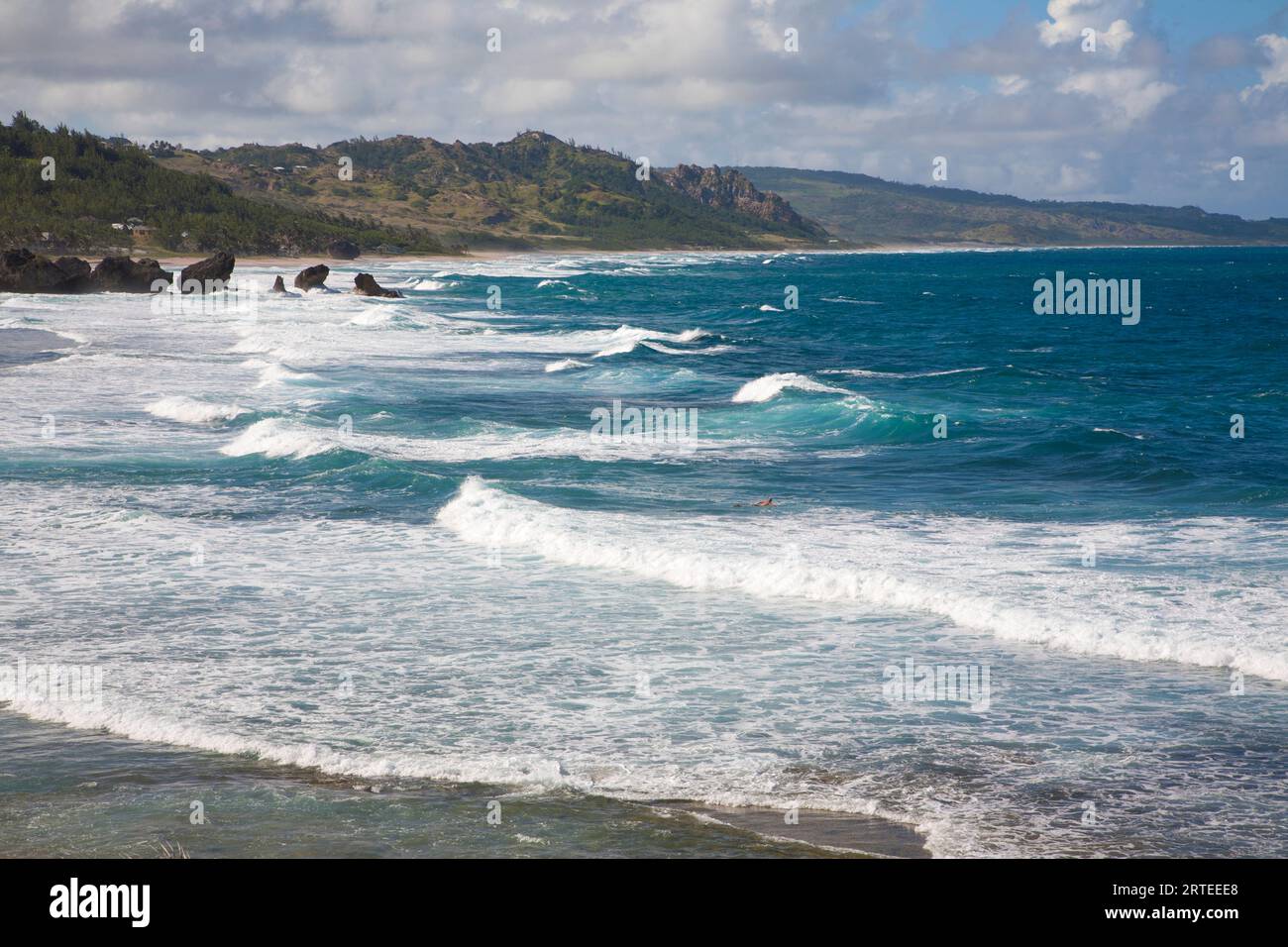 Scenic view with person swimming in the large surf at the beach in Bathsheba; Bathsheba ...