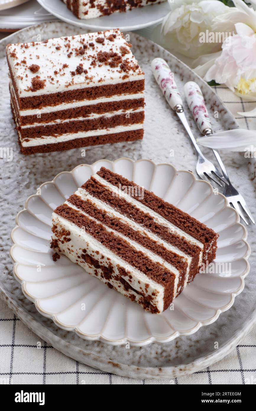 Layer cake with chocolate and cream Stock Photo - Alamy