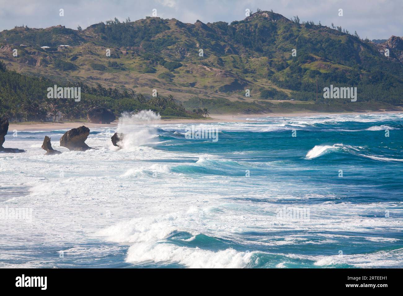 Scenic view of large surf, ocean waves crashing against the rocks at the beach in Bathsheba ...