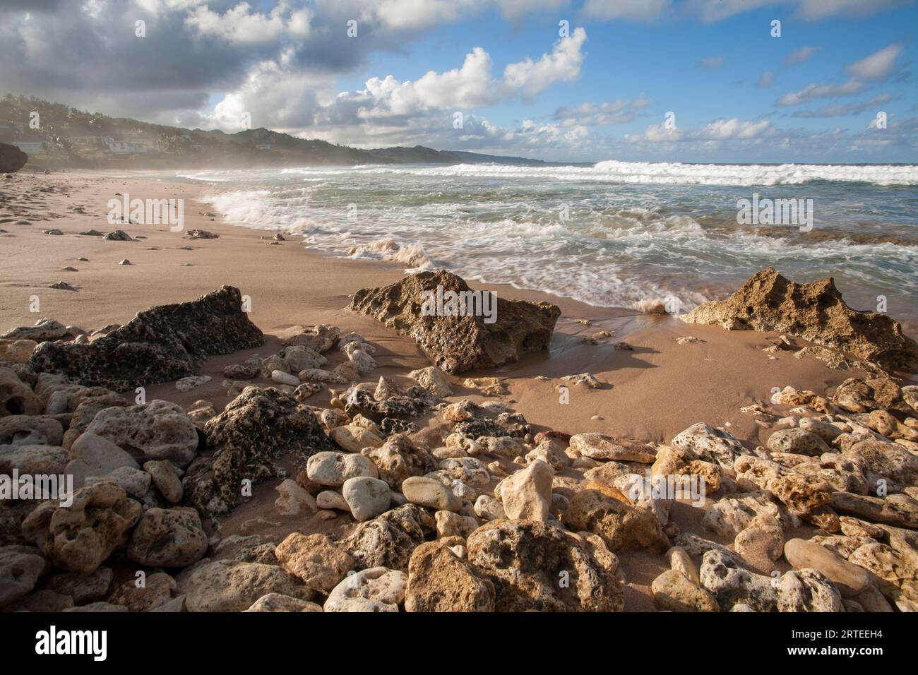 Scenic view of the rocky beach and surf spot with cresting waves along the shore in Bathsheba ...
