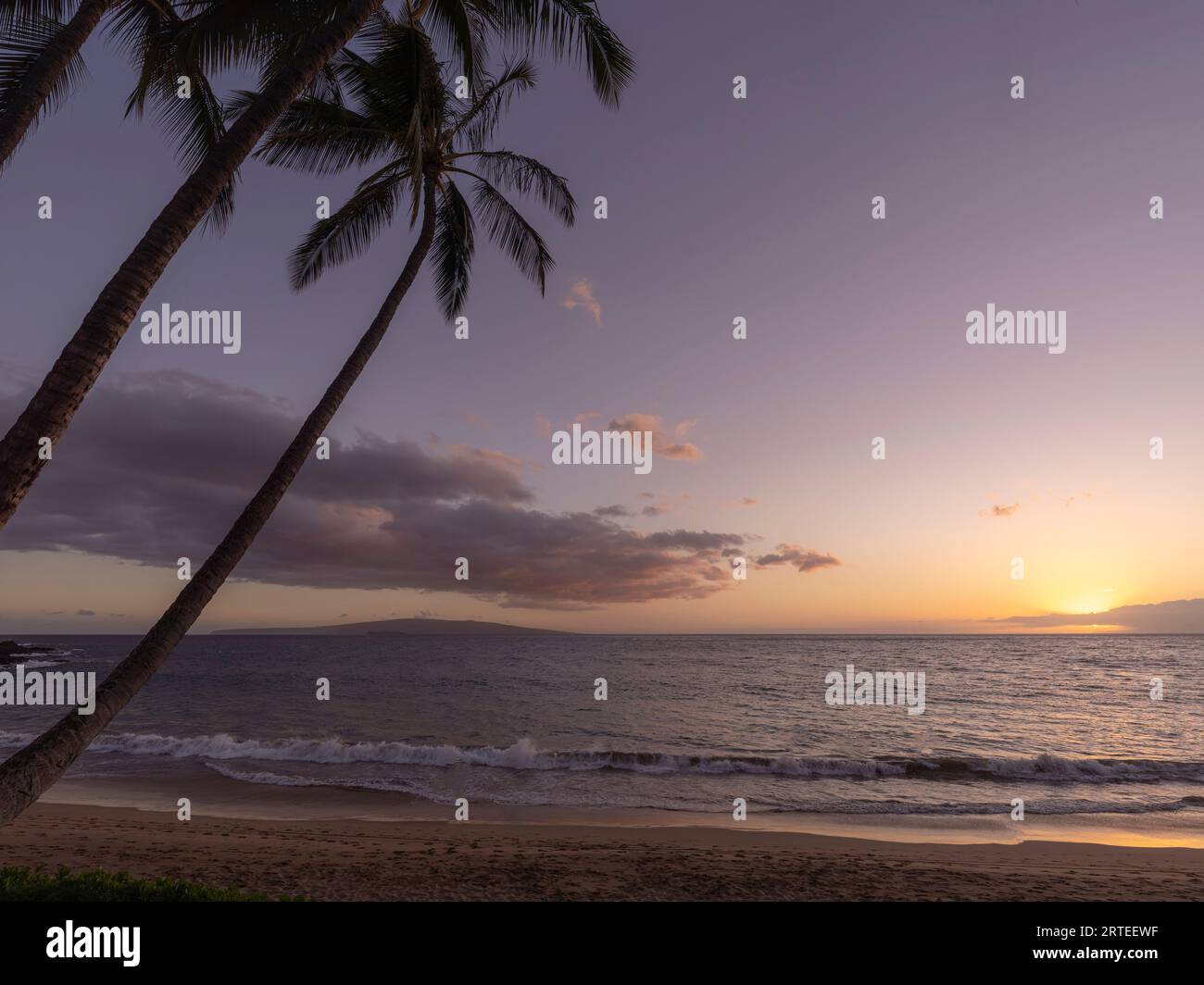 Silhouette of tropical palm trees along the shore at Ulua Beach with a ...