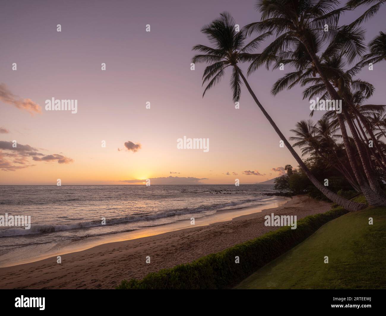 Silhouette of tropical palm trees along the shore at Ulua Beach with a ...