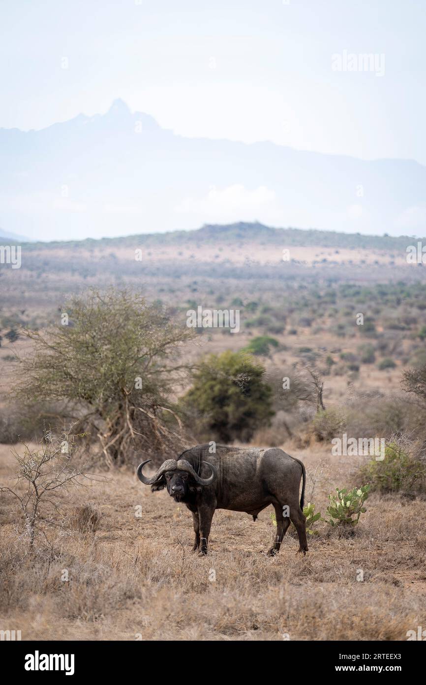 Mount kenya laikipia hi-res stock photography and images - Alamy