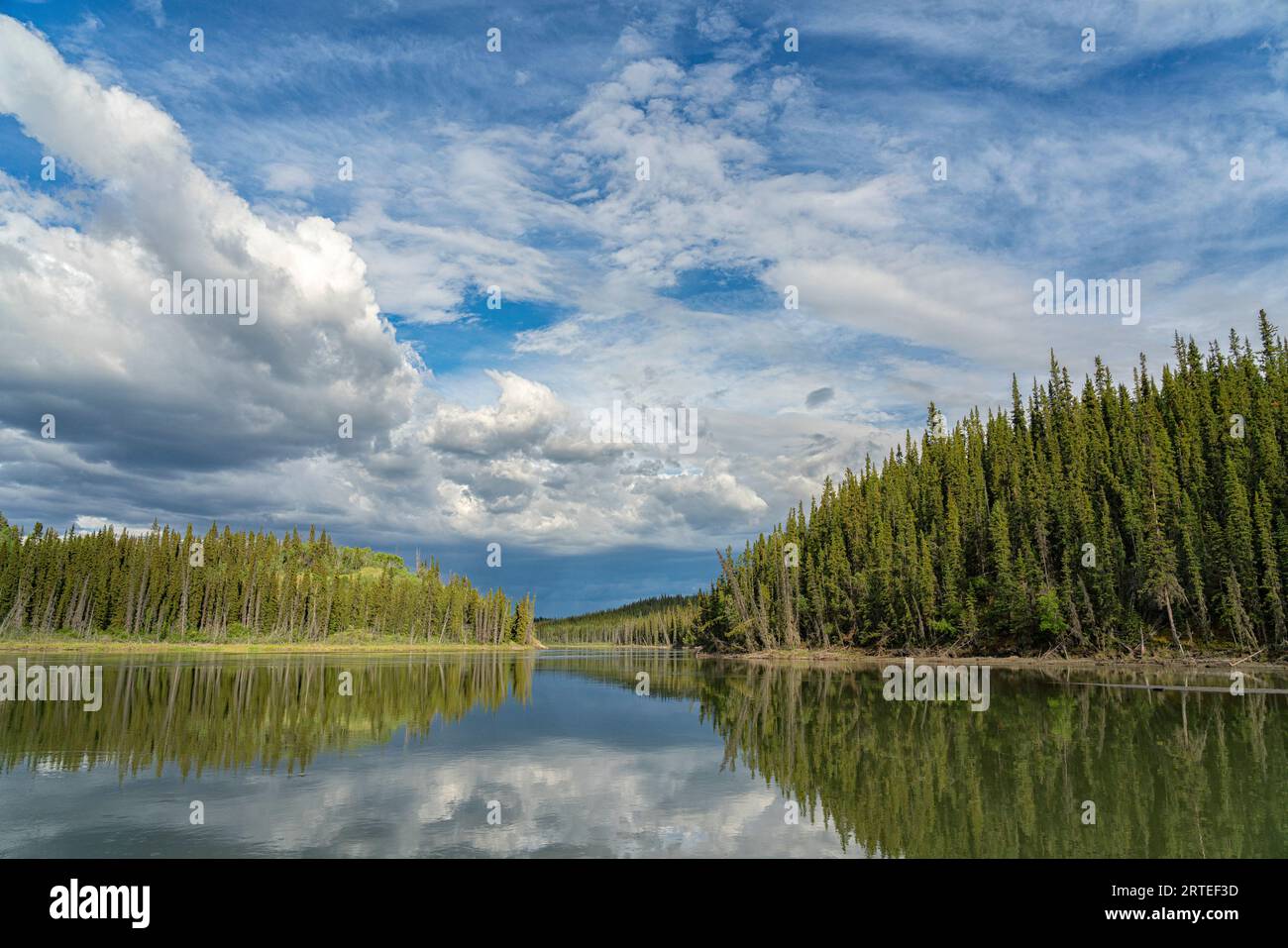 Calm conditions on the Yukon River create the perfect environment for a ...