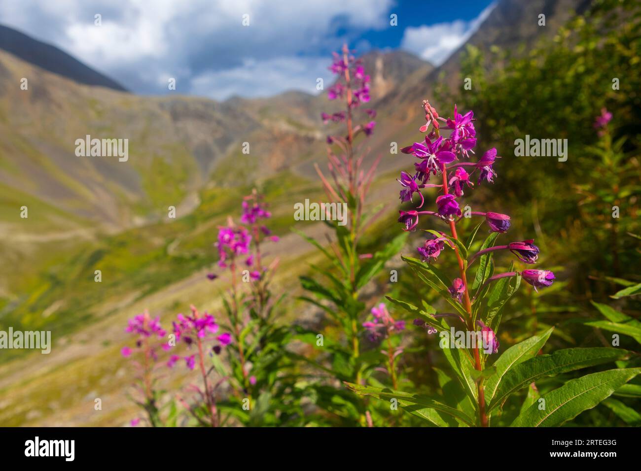 Crow trail pass hi-res stock photography and images - Alamy