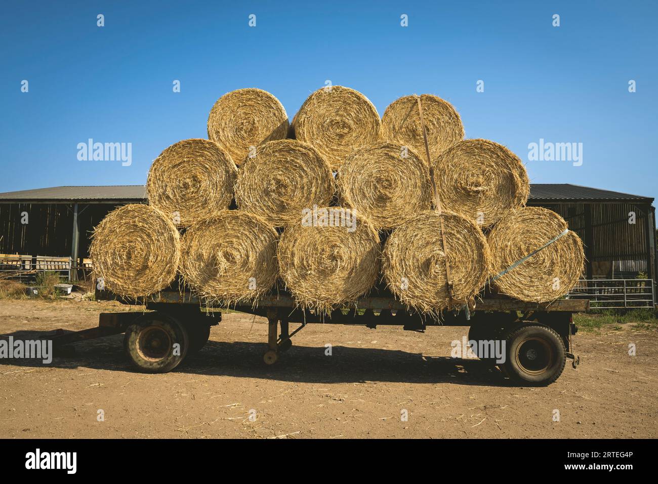 Round hay bales loaded in a pile on a trailer ready for transport, near ...
