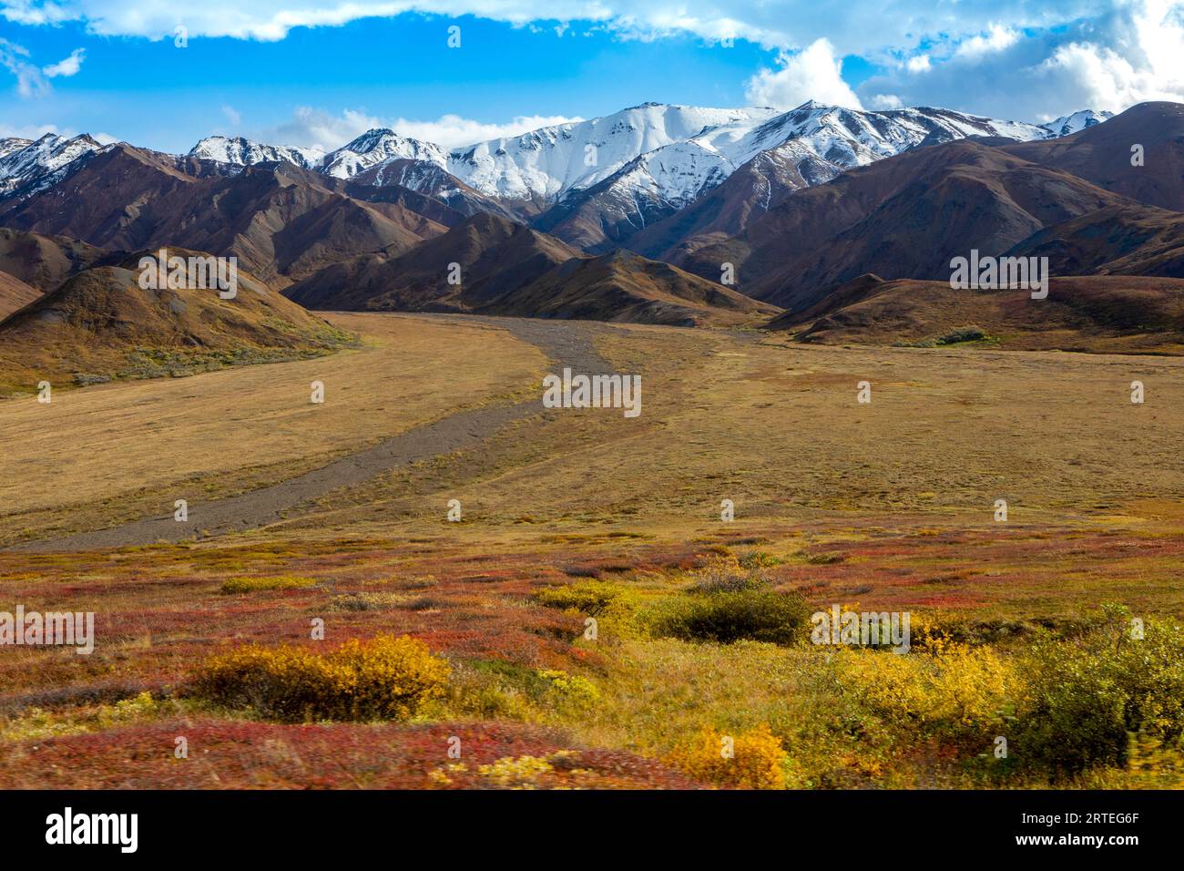 Fall colours light up the tundra on a sunny autumn day with views of ...