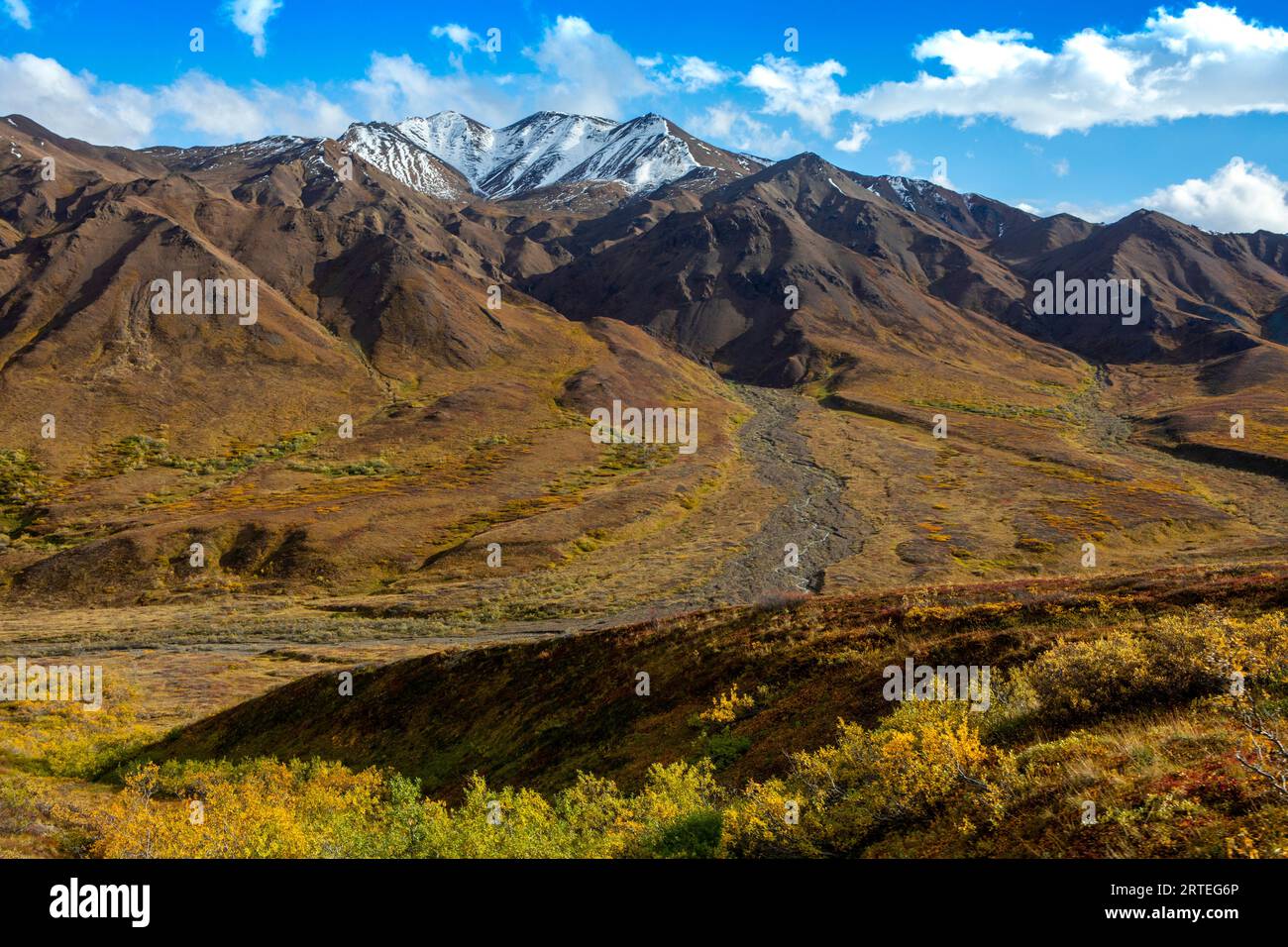Fall colours light up the tundra on a sunny autumn day with views of ...