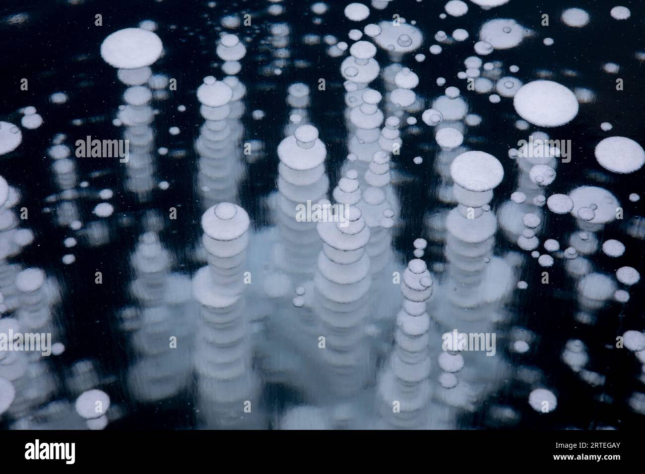 Methane bubbles trapped in ice in winter in Long Laker; Chickaloon ...