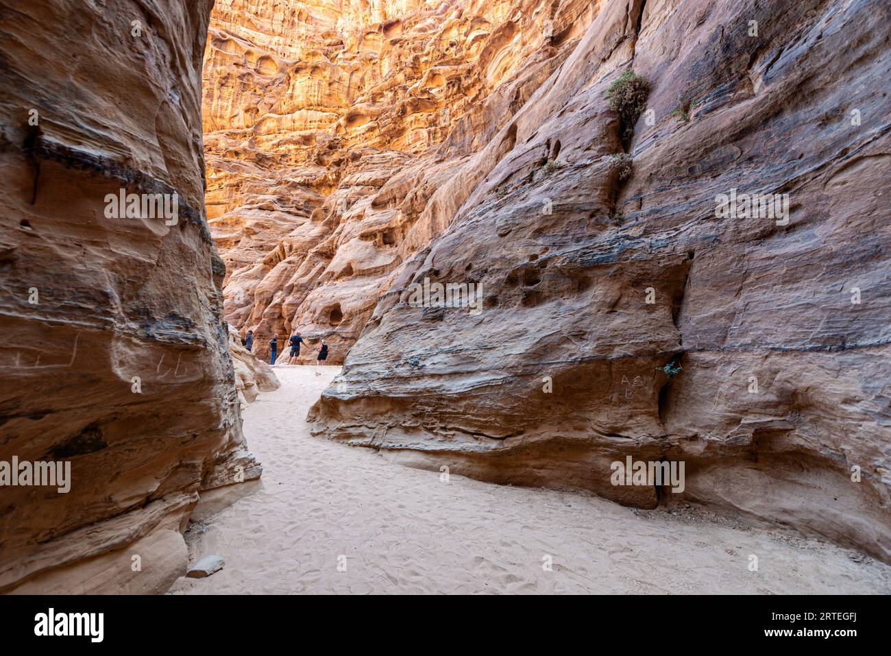 Rocky canyon in Wadi Rum desert, Jordan Stock Photo - Alamy